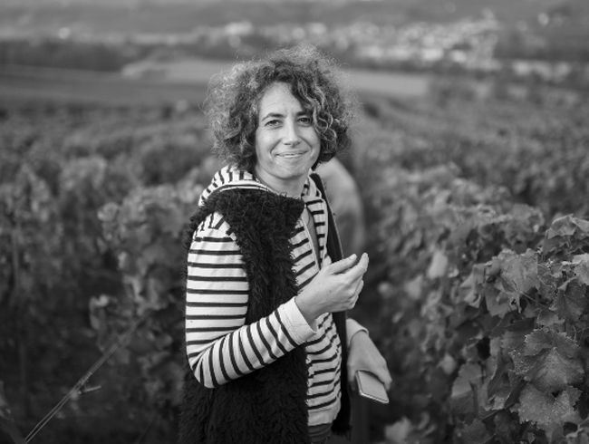 Home [fyshsingapore.com]